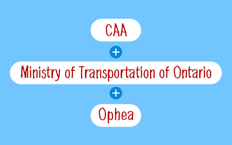 CAA Illustrations and Animation – Ladan Lajevardi